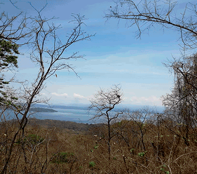 Costa Rica Beach Front Real Estate for Sale