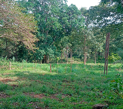 Central Valley Real Estate Costa Rica