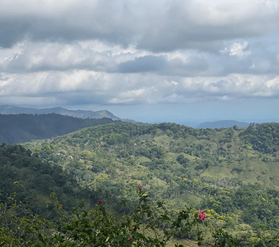 Land for sale in Costa Rica
